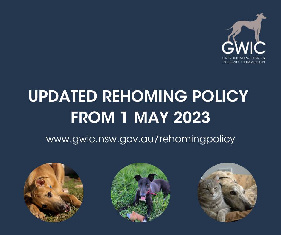 Updated Rehoming Policy - Effective 1st May 2023 - NSW GBOTA ...