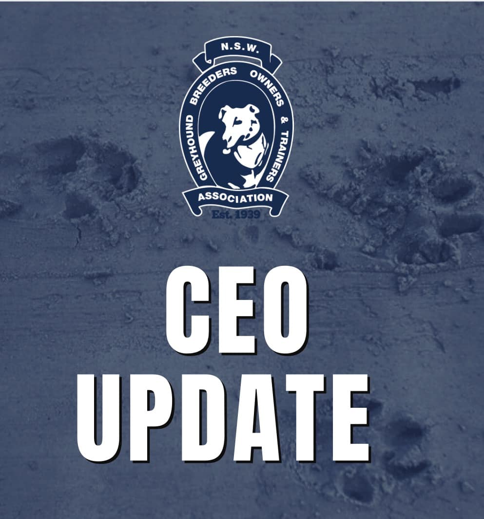 CEO Update from Daniel Weizman Regarding SA Footage Aired - NSW GBOTA ...