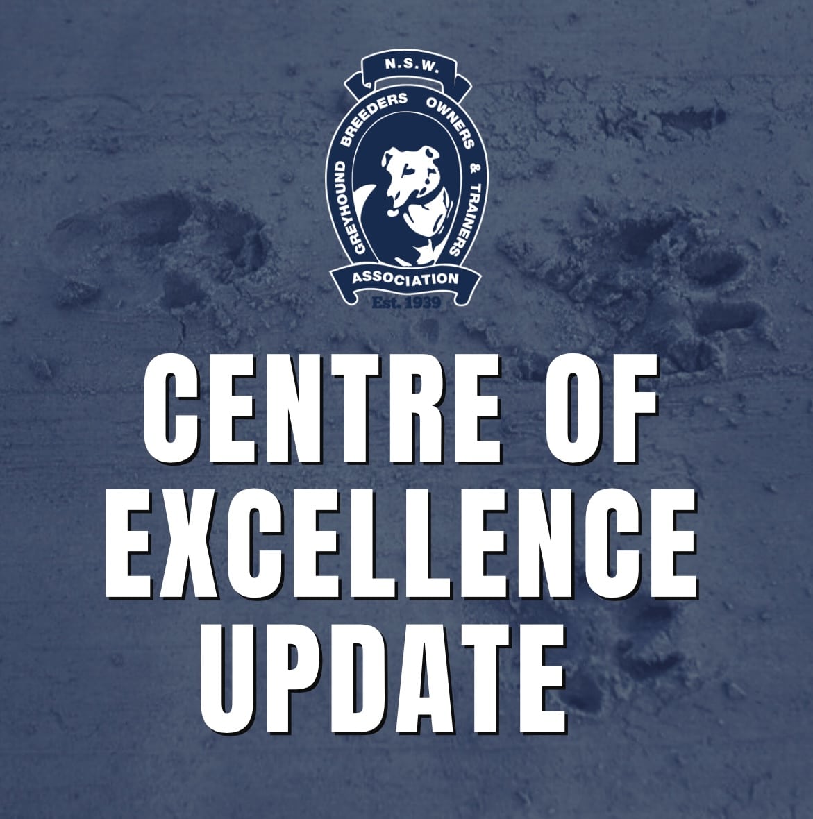 Central West Greyhound Centre of Excellence Update - NSW GBOTA ...