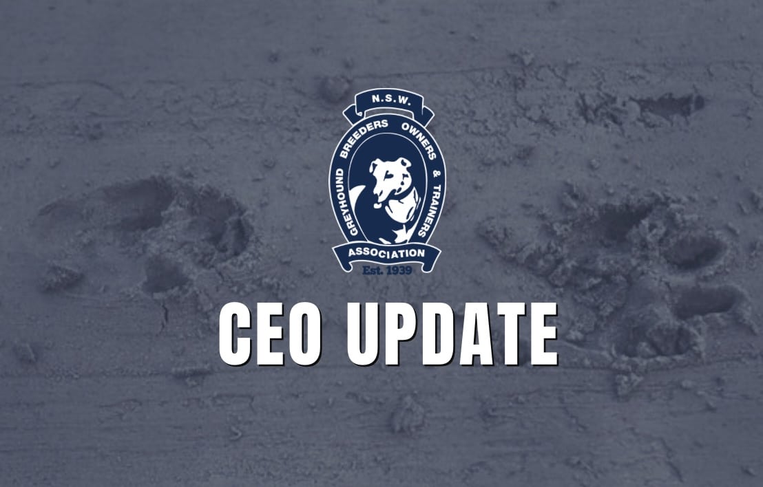 Appointment of Mr. Daniel Weizman as CEO of the GBOTA - NSW GBOTA ...