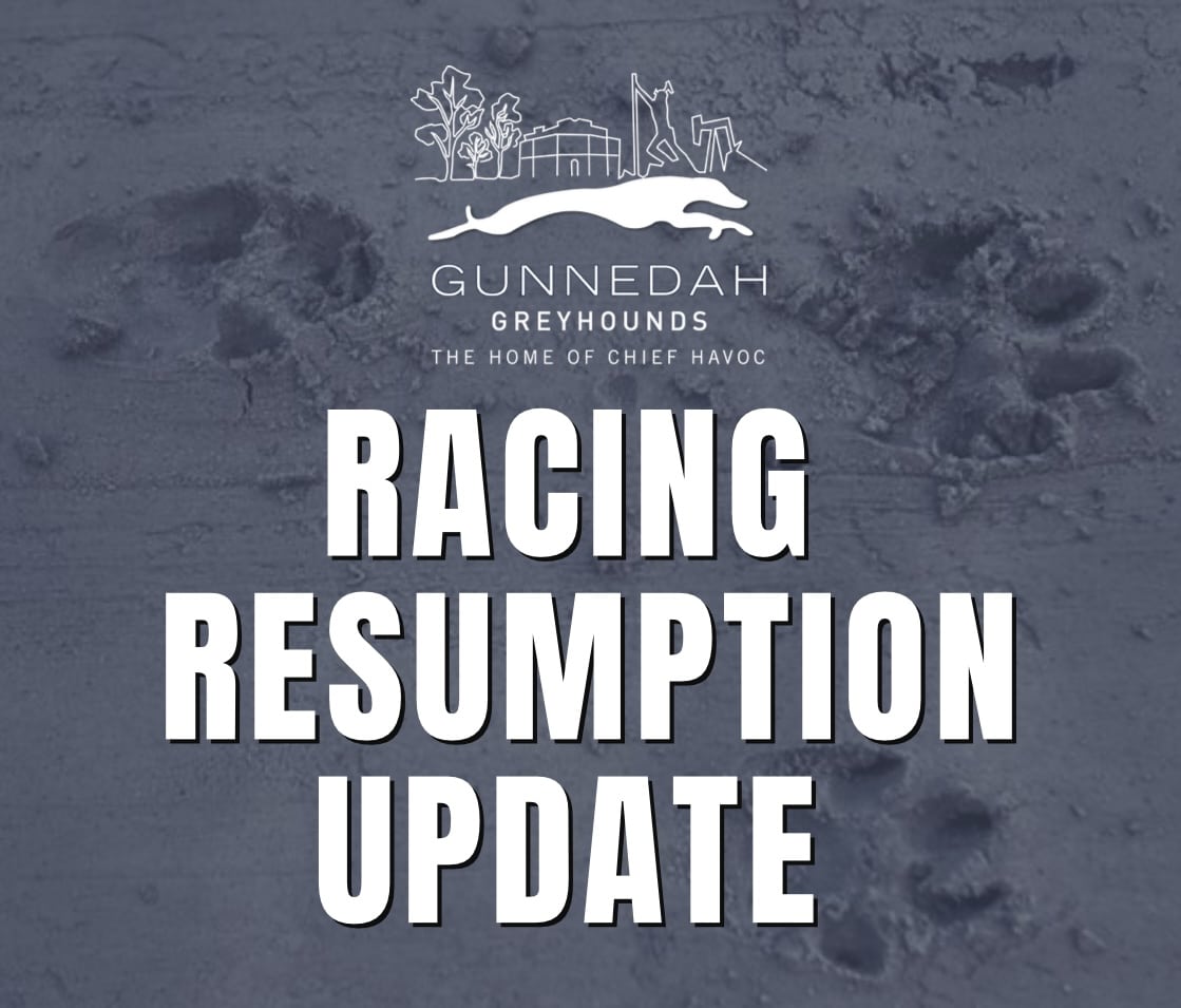 Gunnedah Greyhound Racing Resumption Update - NSW GBOTA - Greyhound ...