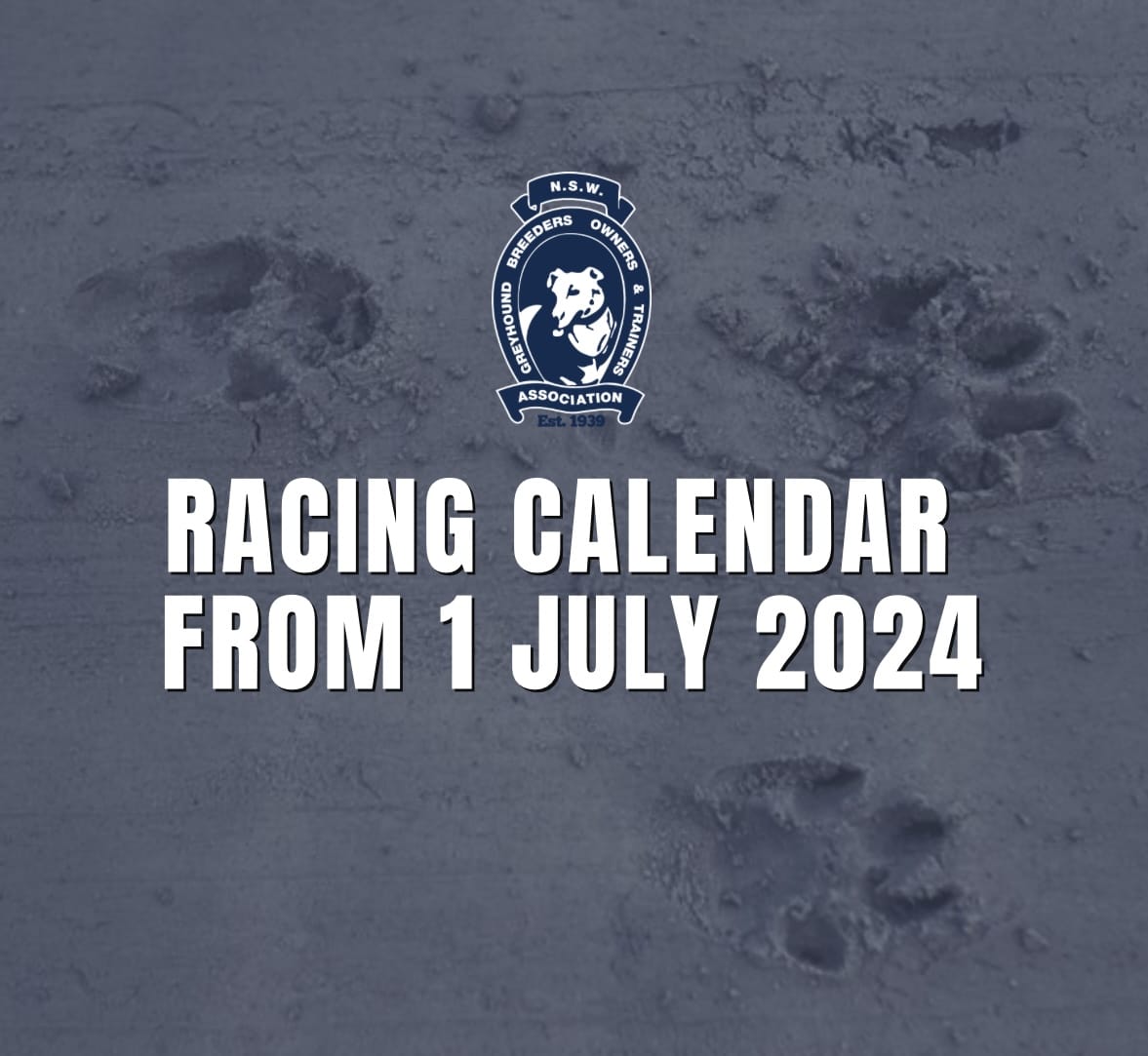New Racing Calendar From 1 July, 2024 - NSW GBOTA - Greyhound Breeders ...
