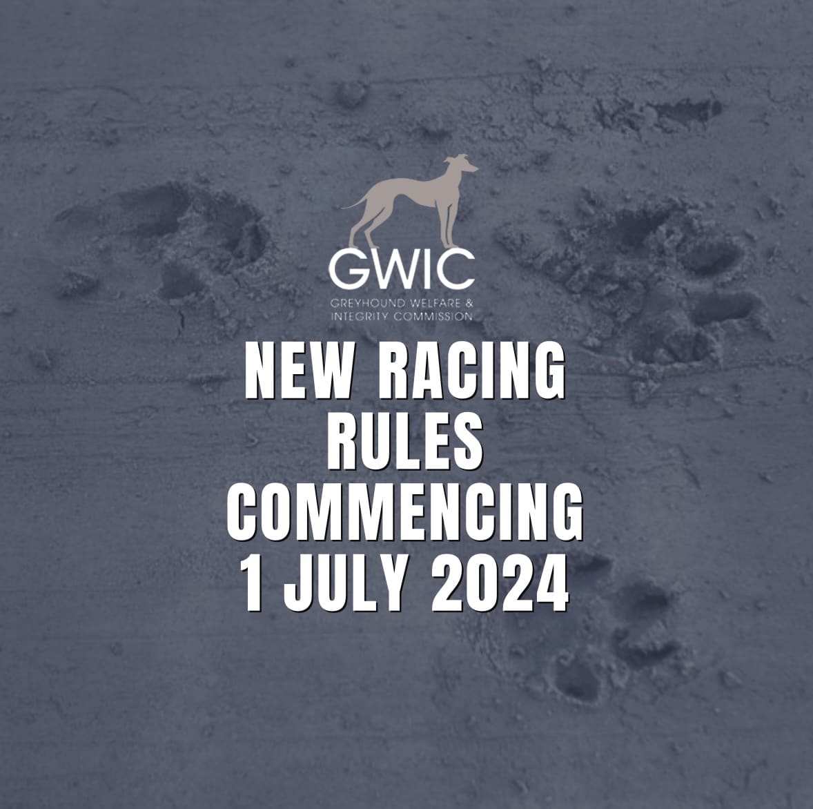 New Greyhound Racing Rules from 1 July, 2024 - NSW GBOTA - Greyhound ...